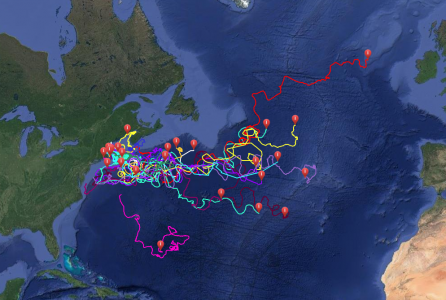 Student Drifters – Student-built, fishermen-deployed, satellite-tracked ...